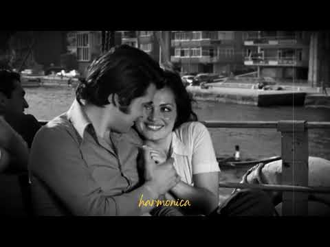 Oy oy oy yedi beni ömrümden deli deli, yıllanmış kehribarım çekmekten derdi seni | playlist