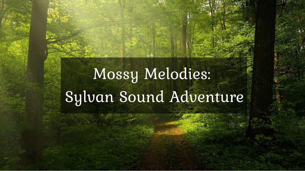 [] Mossy Melodies: Sylvan Sound Adventure • 4k Video UltraHD - YouTube