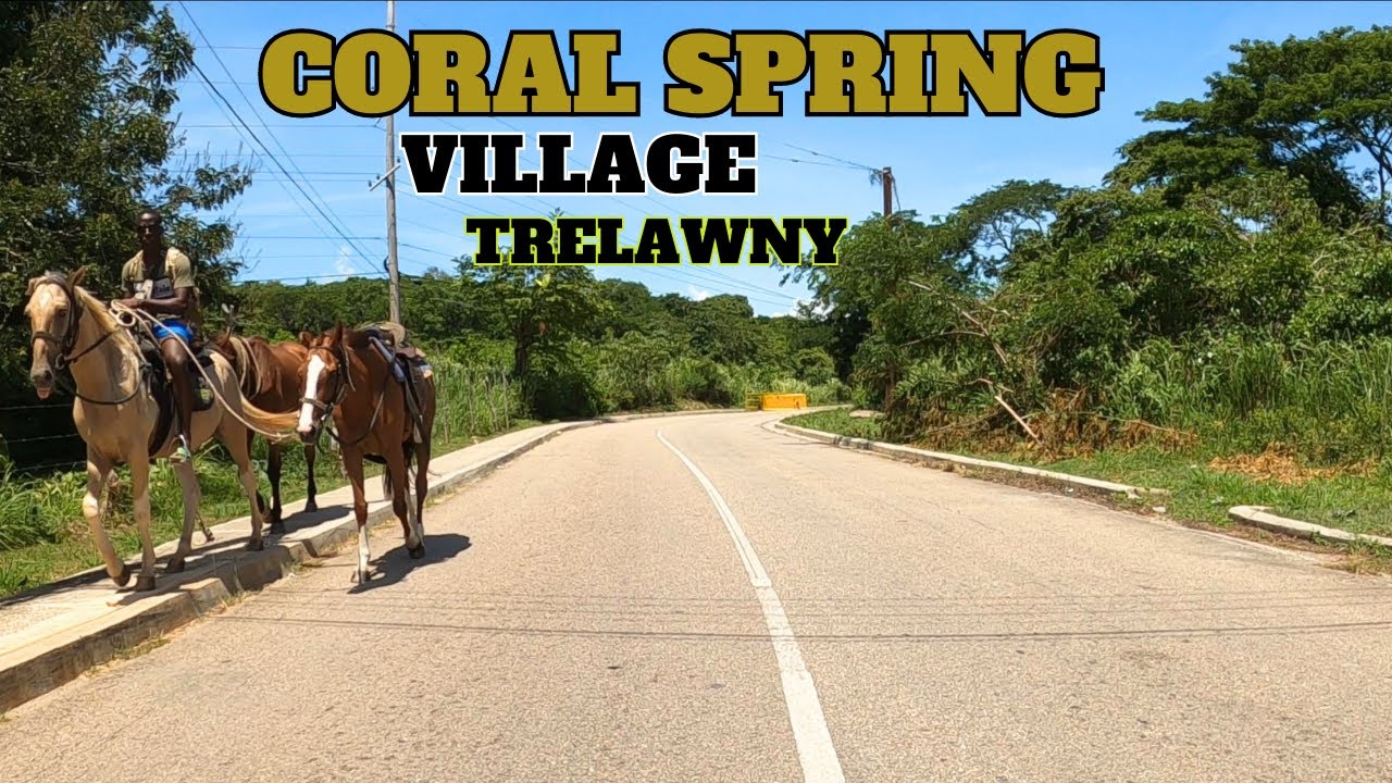 CORAL SPRING VILLAGE TRELAWNY JAMAICA , JAMAICA TOUR 2023 - YouTube
