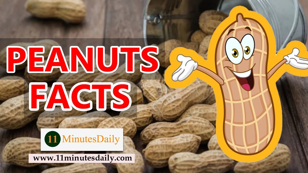 Peanuts Facts - YouTube