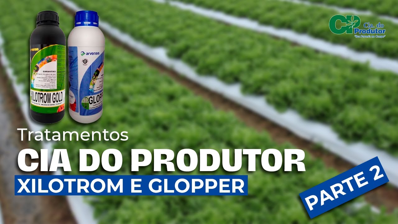 GLOPPER E XILOTRON APLICADOS NO ALFACE - YouTube