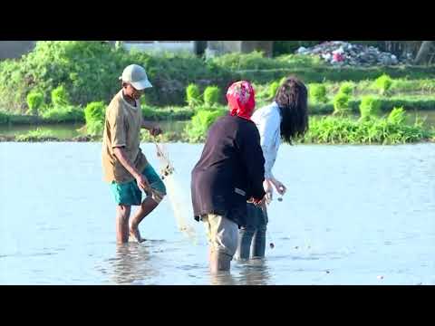 Susahnya Jadi Nelayan Rawa  | Moment | Bedah Rumah