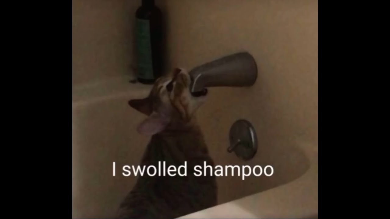 i swallowed shampoo - YouTube