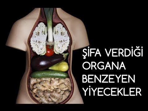 Şifa Verdiği Organa Benzeyen Meyve Ve Sebzeler