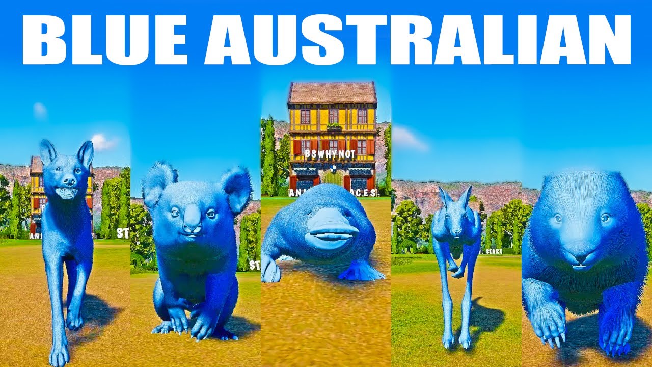 Blue Coloured Australian Animals Speed Races in Planet Zoo included ...