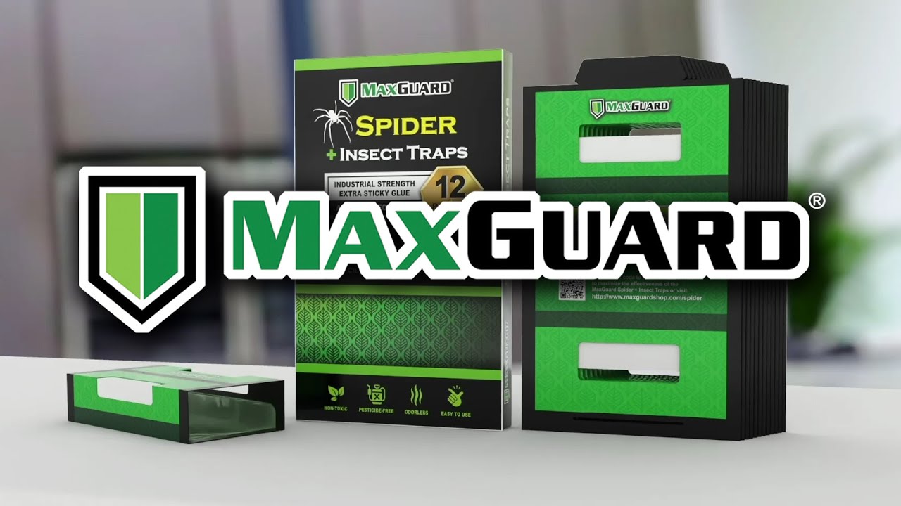 MaxGuard Spider Traps - YouTube