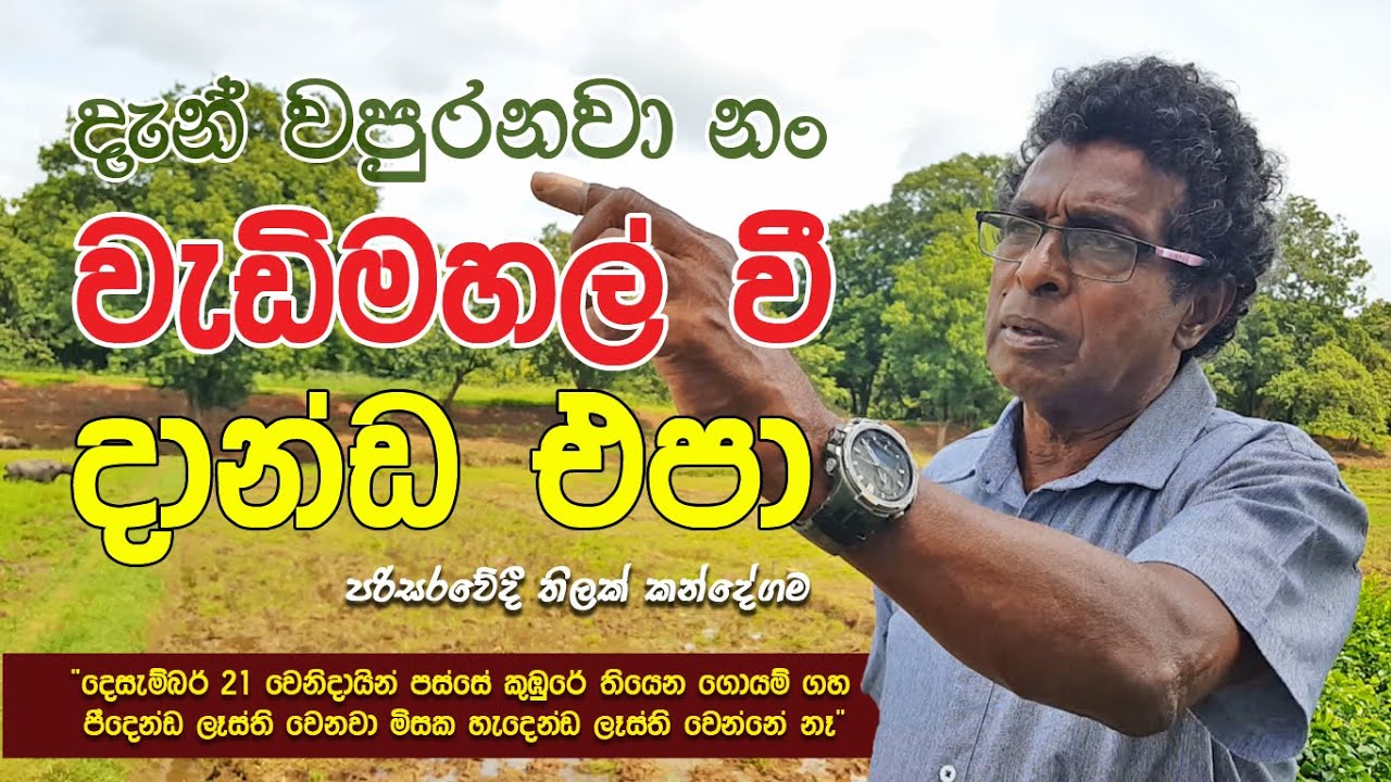 දැන් වපුරනවා නං වැඩිමහල් වී දාන්ඩ එපා - තිලක් කන්දේගම / Traditional ...