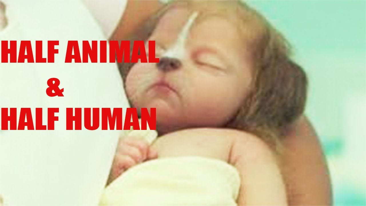 half baby half animal - YouTube