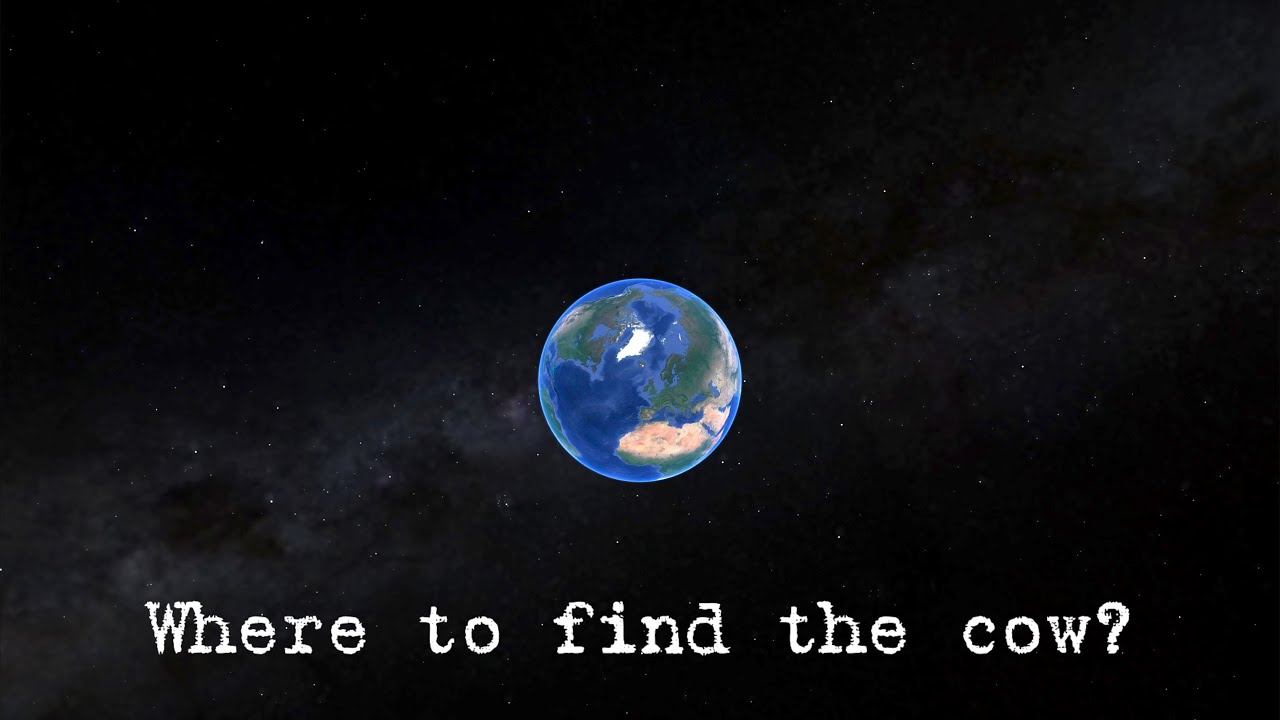 Where to find the cow? - YouTube