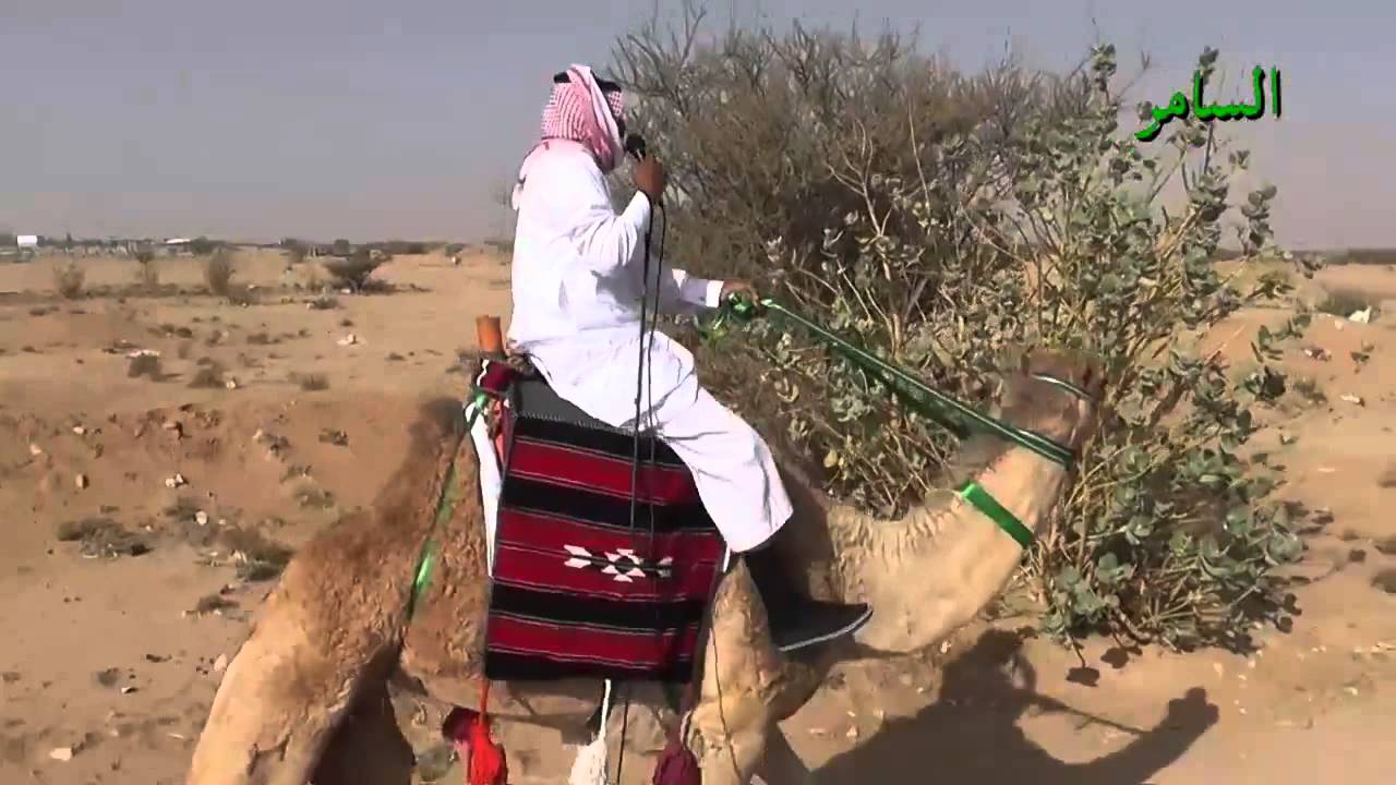arabia - a man from Otiabi tribe go to shammar tribe - YouTube