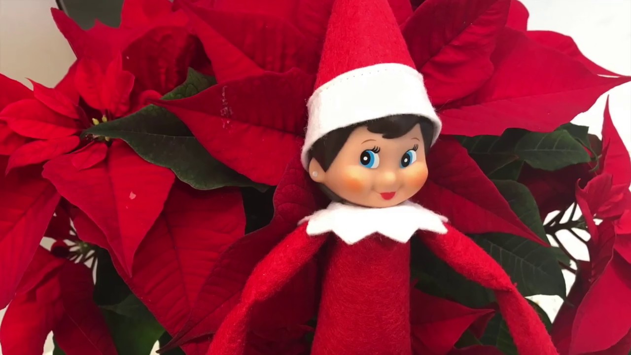 Meet Alfie, our Elf on the Shelf - YouTube