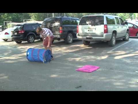 ECI Dog Training 1 - YouTube