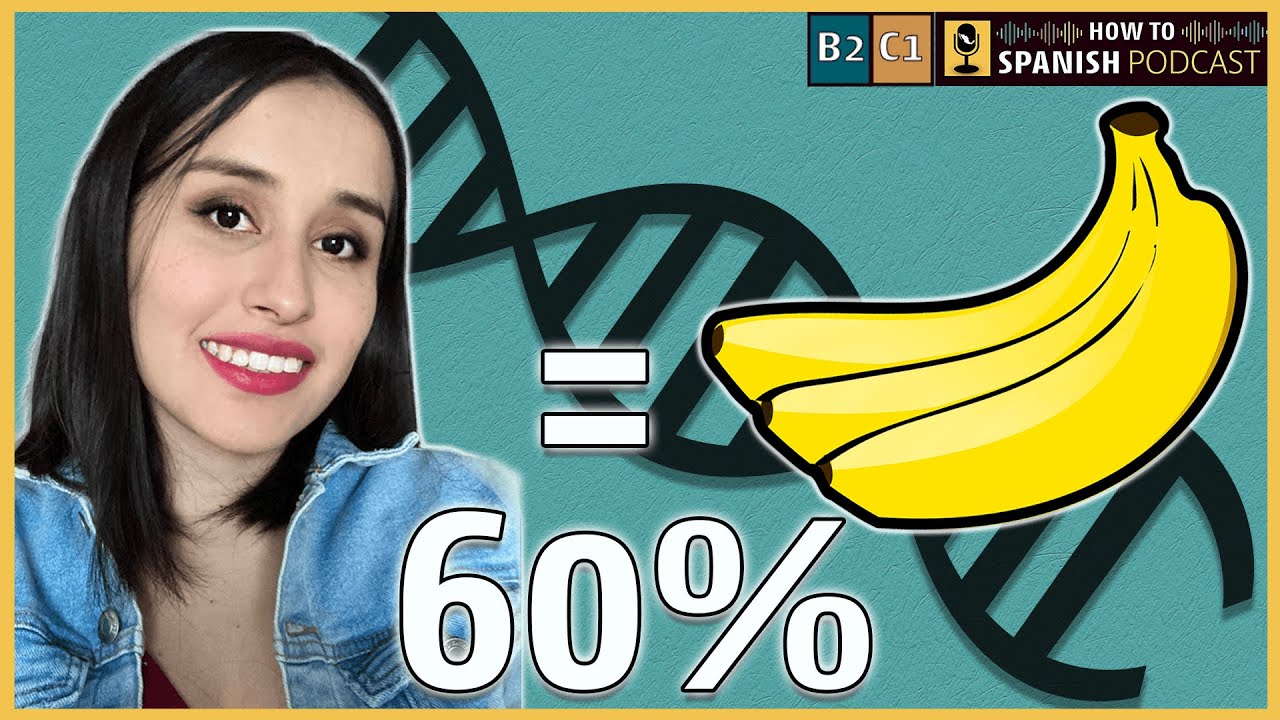 Are we truly unique? Let's talk about DNA and genetics in SPANISH - How ...