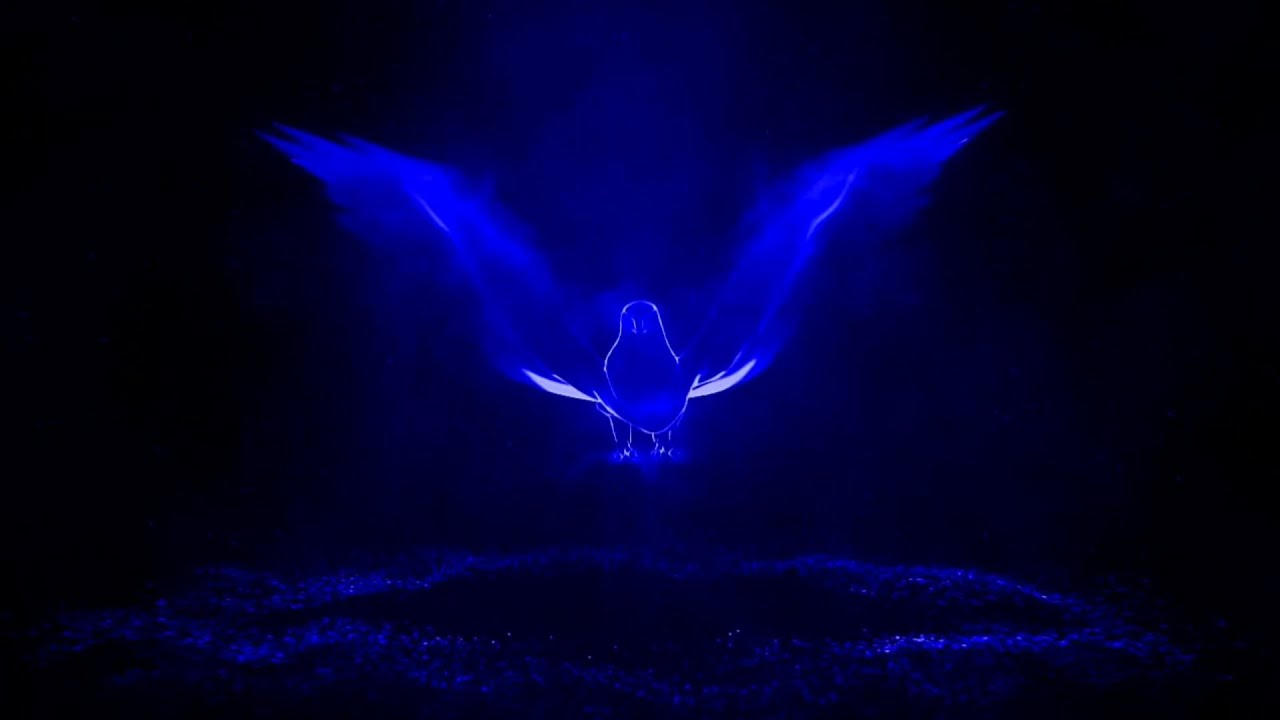 Magic Bird || How To Make Magic Bird intro & Text animation in ...