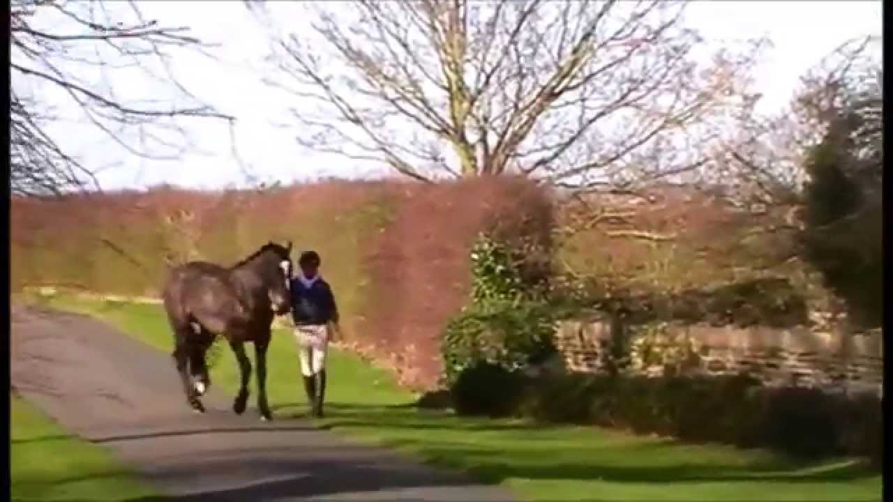 GCSE PE HORSE RIDING VIDEO- FULL MARKS // LUCY VARLEY - YouTube