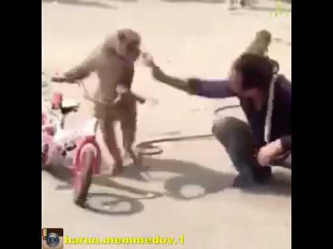 Axsakqal bir qullam tustun olar