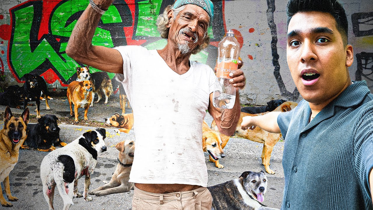 Así VIVO con 30 PERROS en LA CALLE 🐕🇲🇽 - YouTube