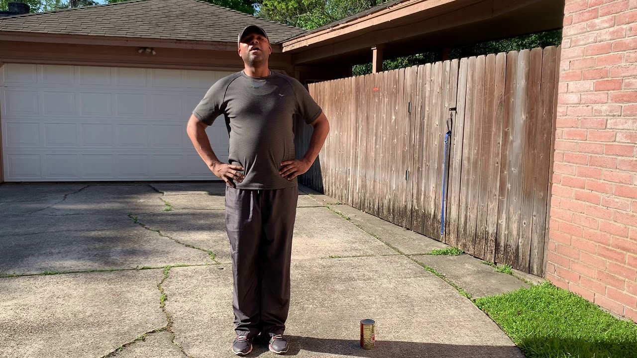 Animal Relays - YouTube