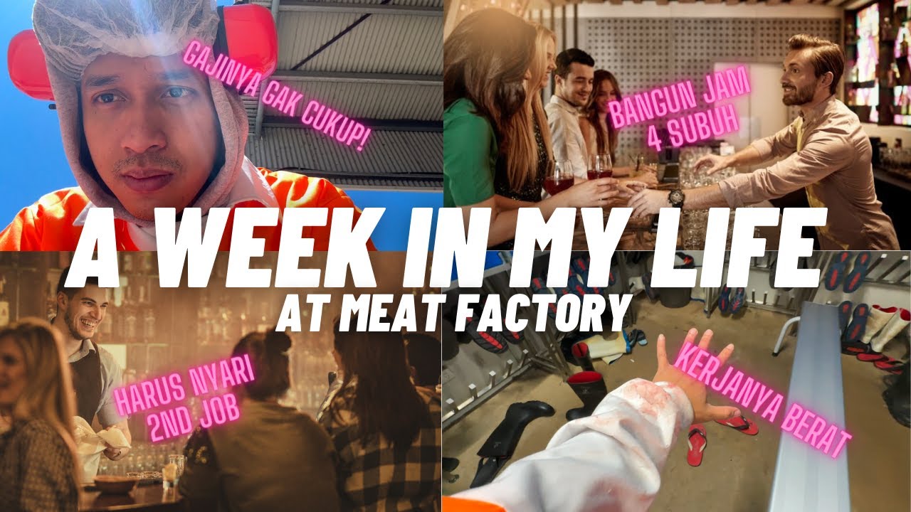 a week in my life KERJA di MEAT FACTORY 2nd year WHV Australia # ...