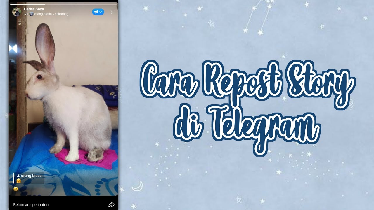 CARA REPOST STORY DI TELEGRAM - YouTube