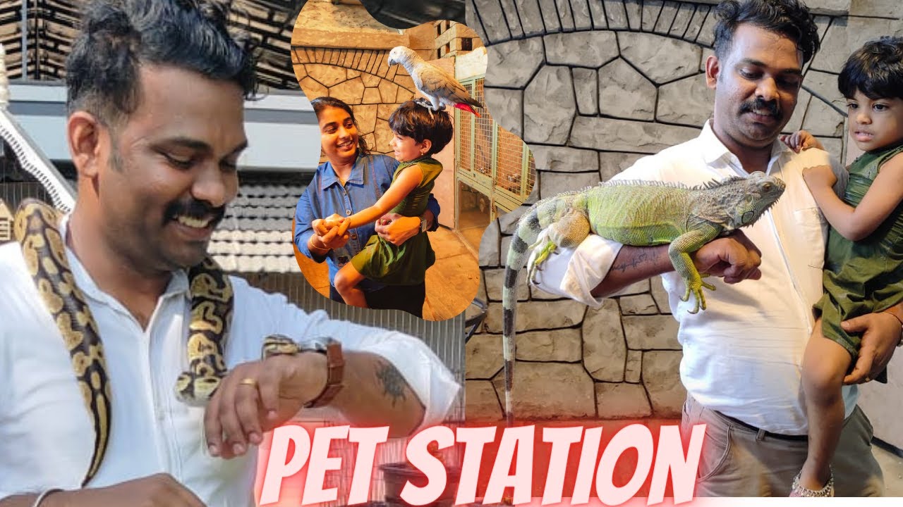 PET STATION,kannur,VRJViews...... - YouTube