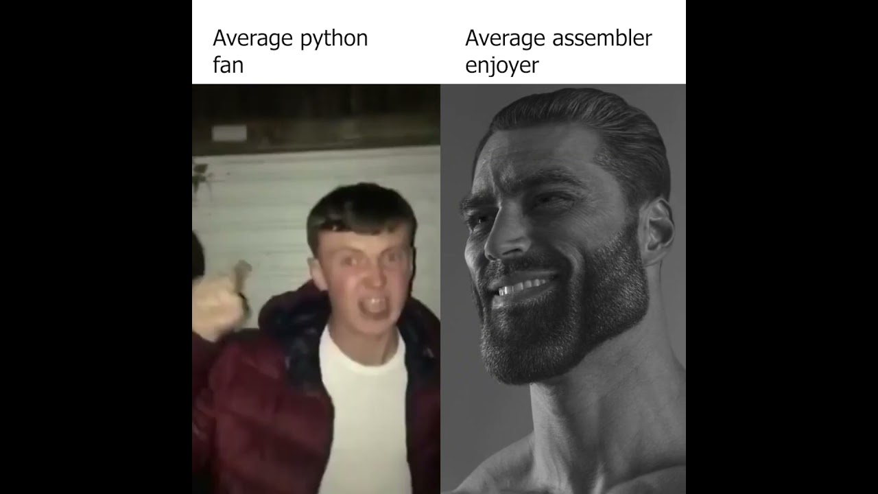 Average Python Fan VS Average Assembler Enjoyer YouTube average-python-fan-vs-average-assembler-enjoyer-youtube