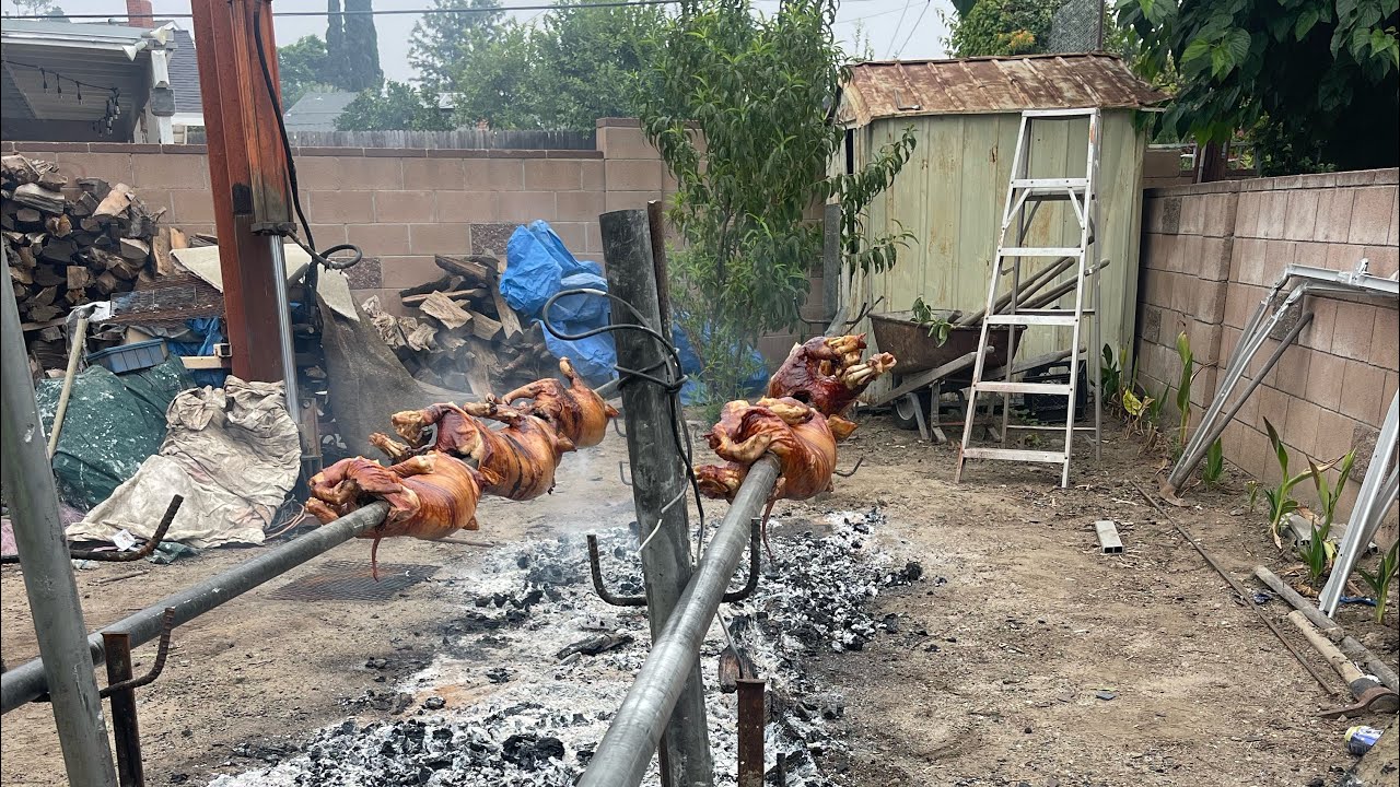 Saturday Weekend | Roasting Pigs the Island Style Way 🔥🇹🇴🏝️ | Met Up ...