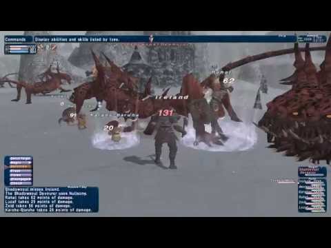 Final Fantasy XI FFXI BST99WHM49 BST Beastmaster Ireland WotG Campaign ...