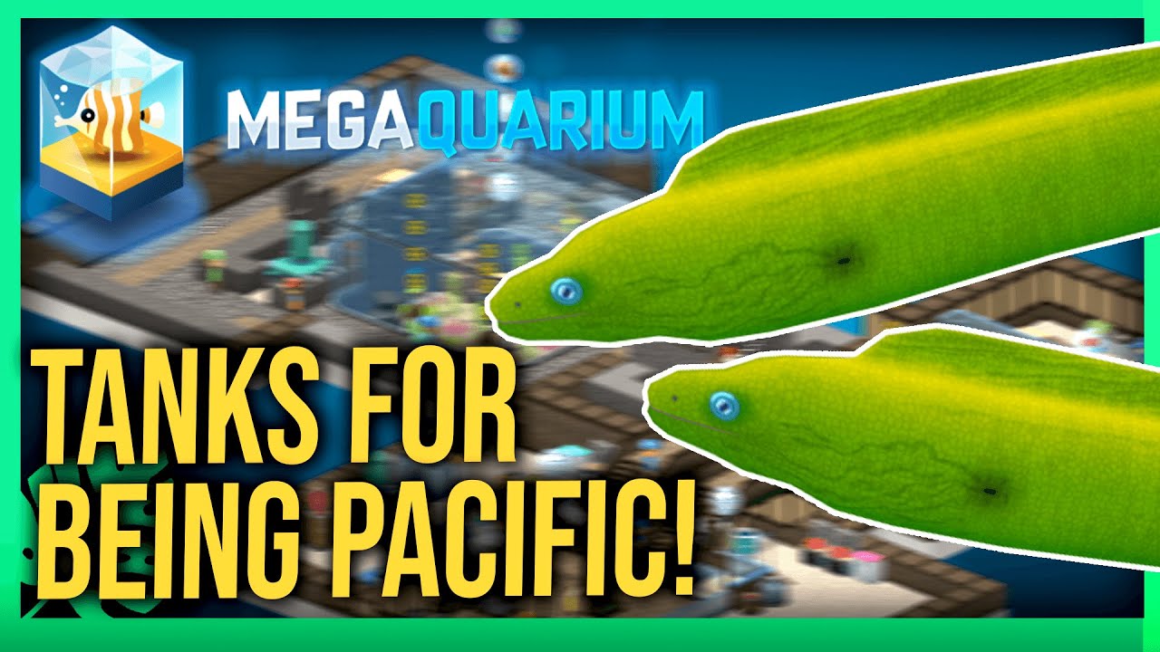 Pacific Points! - Megaquarium: Architect Collection Sandbox Mode - YouTube