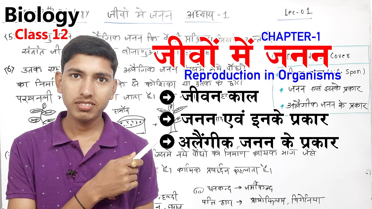 जीवों में जनन || Reproduction in Organisms Class 12 || jivo me janan ...