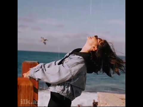 Whatsapp ucun maraqli, MƏNALI statuslar, status ucun videolar QEMLİ WHATSAPP STATUSLARI 2021 #Shorts