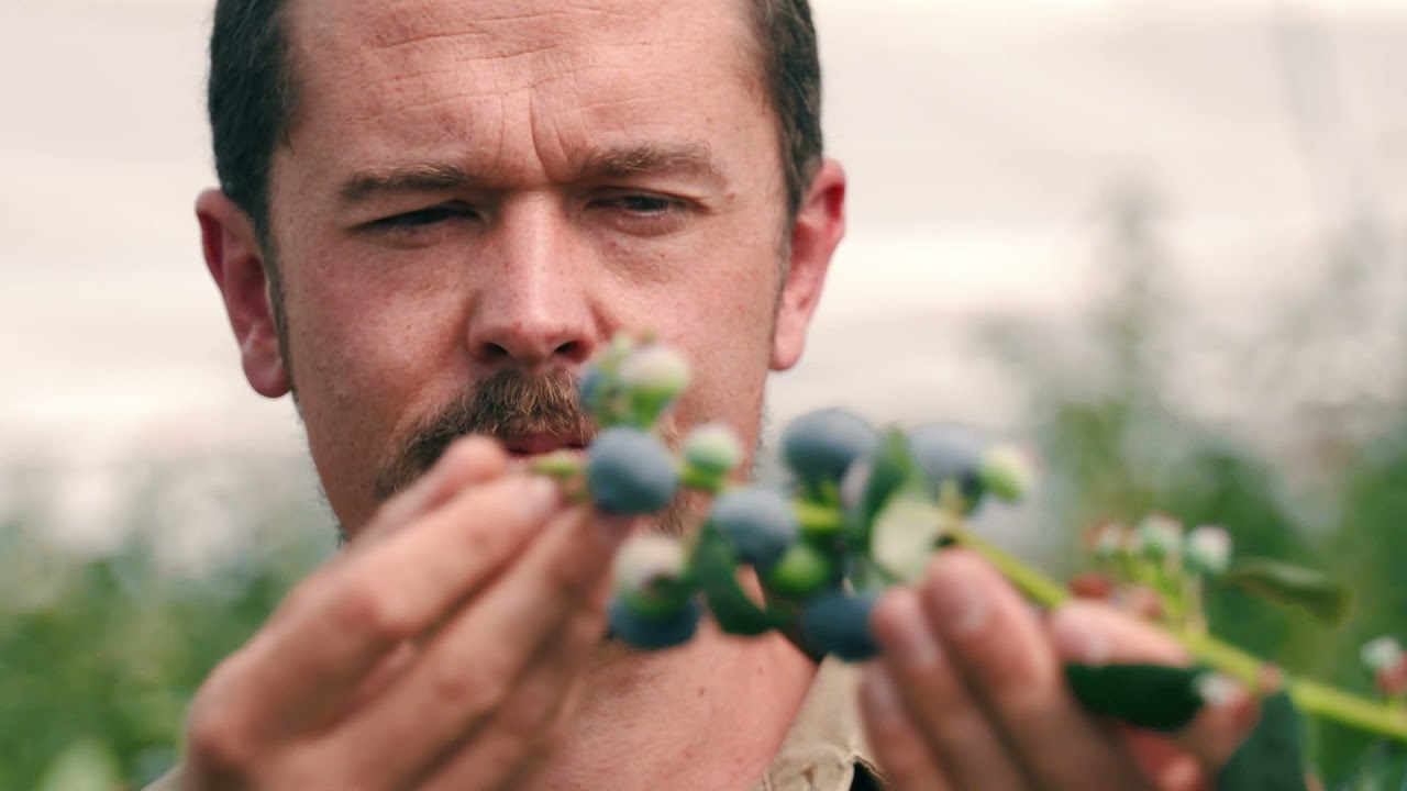 Brad Hocking | Australian Blueberry horticulturalist - YouTube