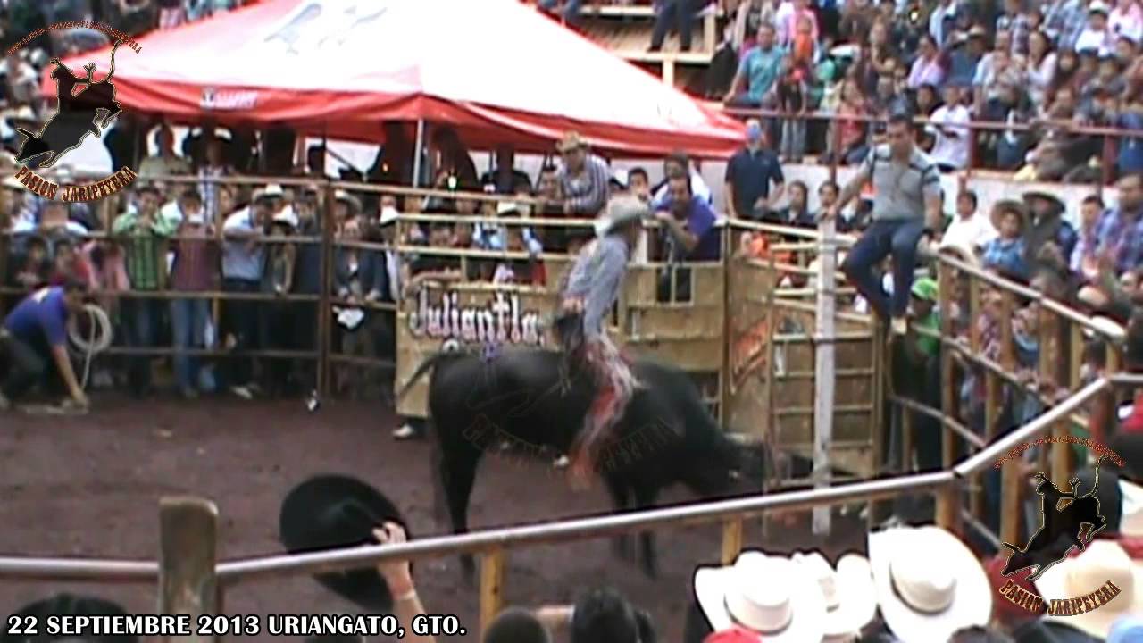 ¡MONTA DRAMATICA! ALERGICO vs CHEPE DIAZ (DESTRUCTORES DE MEMO OCAMPO ...