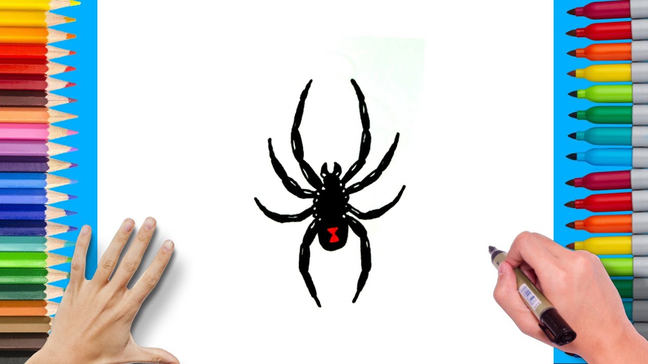 HOW TO DRAW A BLACK WIDOW SPIDER 🕷️| LEARN STEP BY STEP | DRAWING AND ...