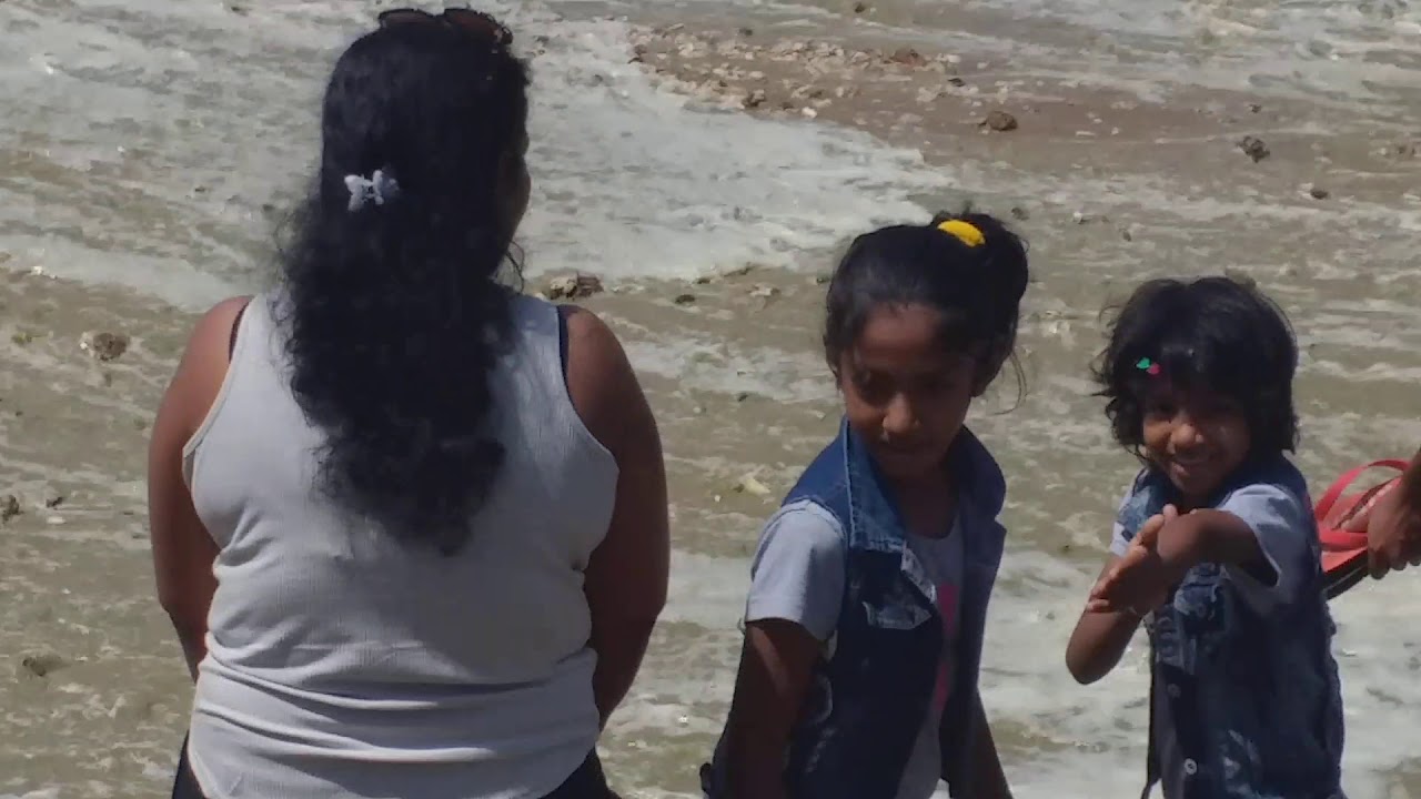 Callido beach/Kalutara callido beach rehabilitation / Velli gouva sand ...