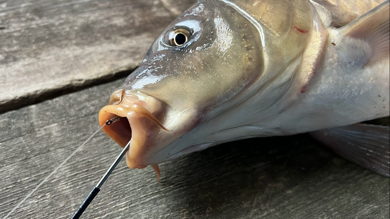 See what an incredible tool a fisherman has made to pull hooks out of ...