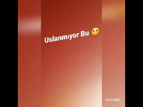 Uslanmiyor Bu