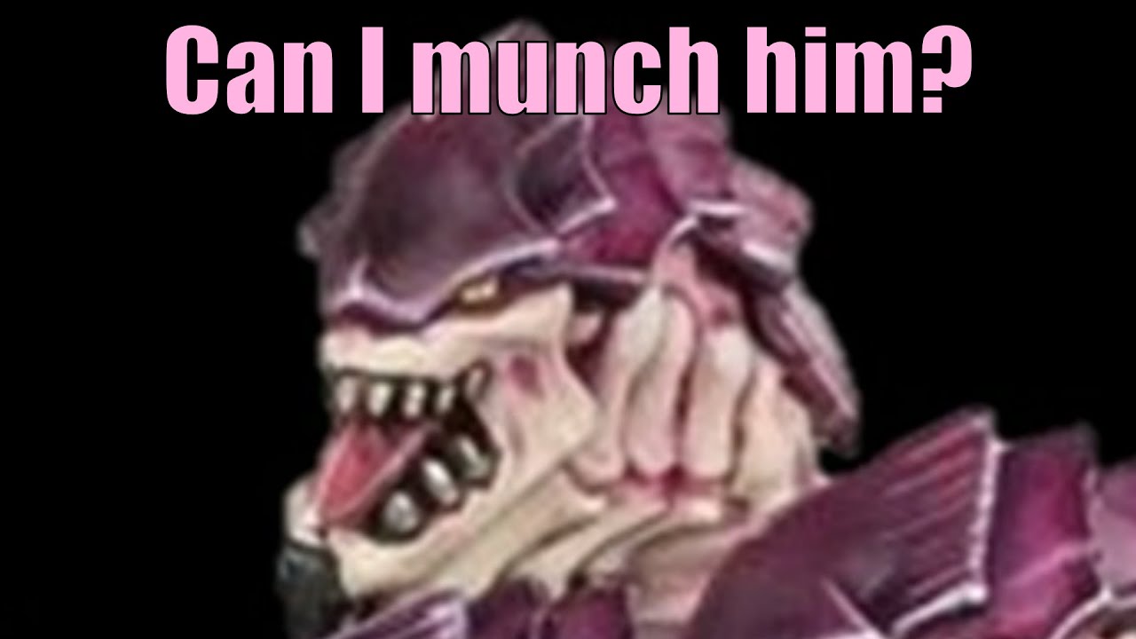 Warhammer 40k Meme Dub: The Tiny Trio, Enforcers And Deathwatch All ...