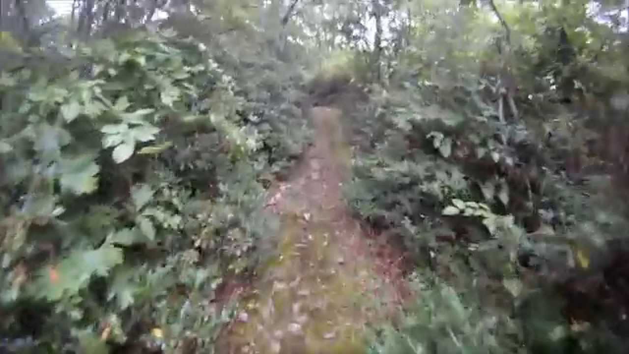 Mountain Biking Reddish Knob to Timber Ridge Trail - YouTube