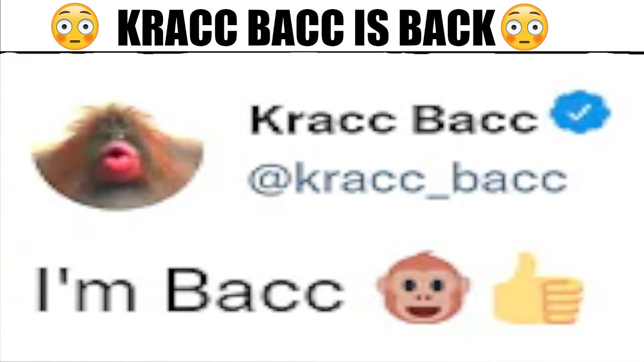 Kracc Bacc is back... - YouTube