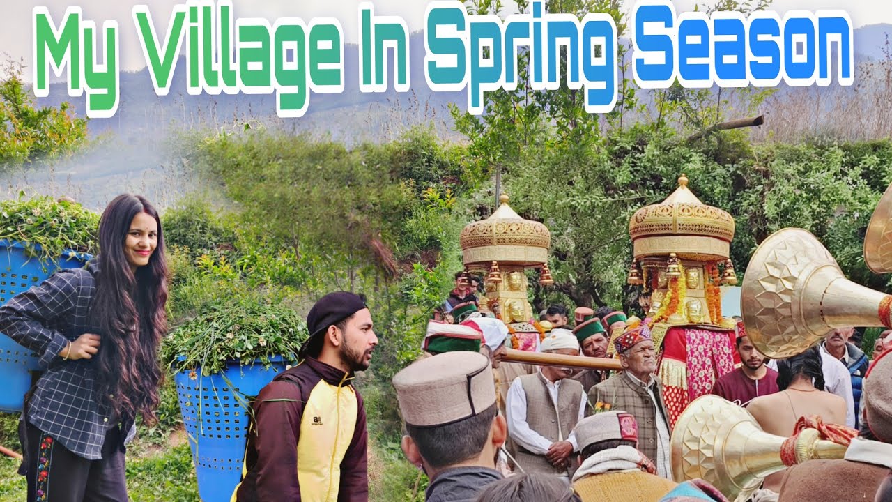 My Village In Spring Season 🌼🌱 Mandi | Himachal Pradesh - YouTube