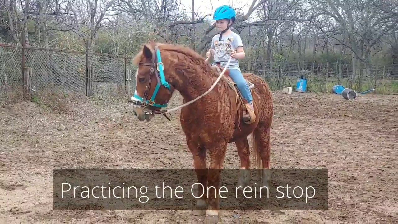 Learning and Practicing the one rein stop for safety - Youth Beginner ...