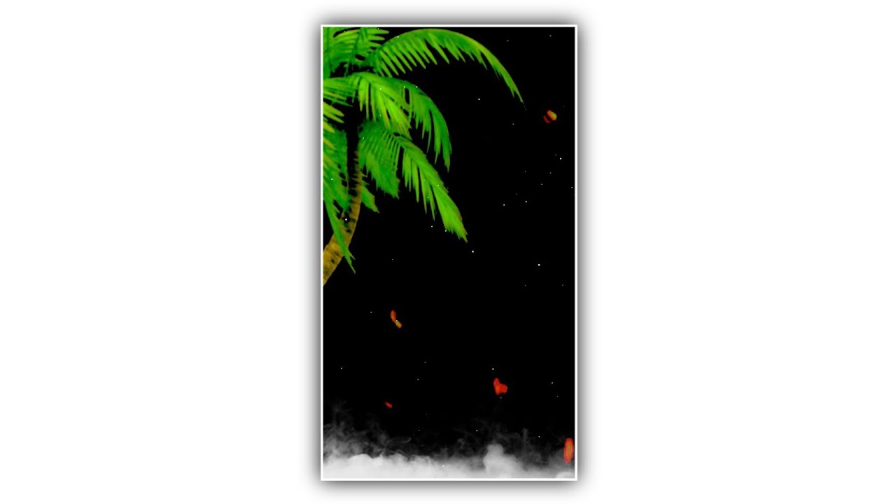 Black screen Tree | Tamplate video background | Black Screen Status ...