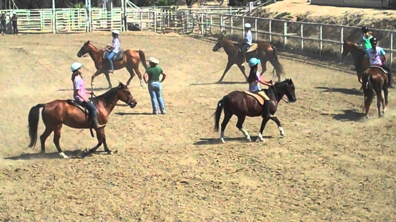 Rawhide Ranch Equestrian Experience Workshop Novice Drill - YouTube