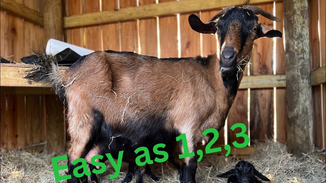 Easy as 1,2,3… - YouTube