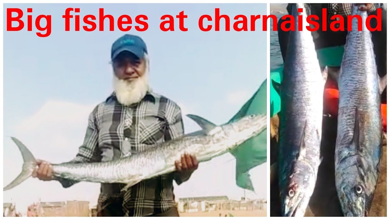 Big catch on Trolling/ Fishing on troling at charnaisland sea # ...