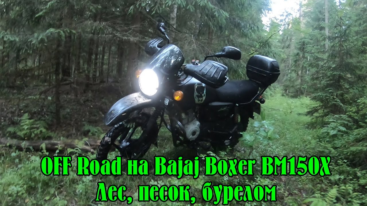 Off Road на Bajaj Boxer BM150X. Лес, песок, бурелом - всё в лучших ...