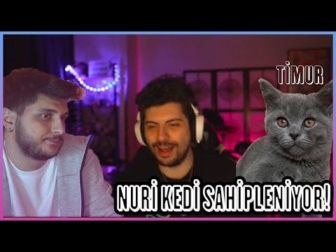 YAYINDA NURİ KEDİ SAHİPLENİYOR ! (TİMUR) | HYPE (EKİPLE)
