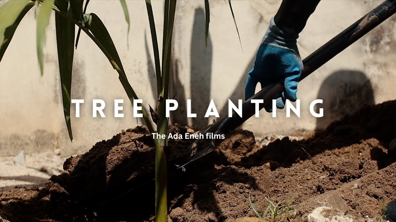 TREE PLANTING EXCERCISE || #documentary #treeplanting #volunteer # ...