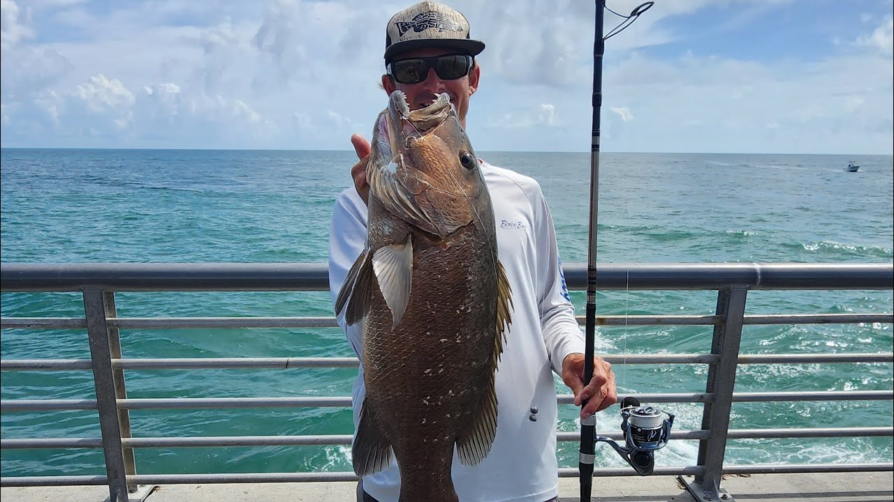 "Maximum Effort" Happy New Years! - 2024 Mix Fishing / Spearfishing ...